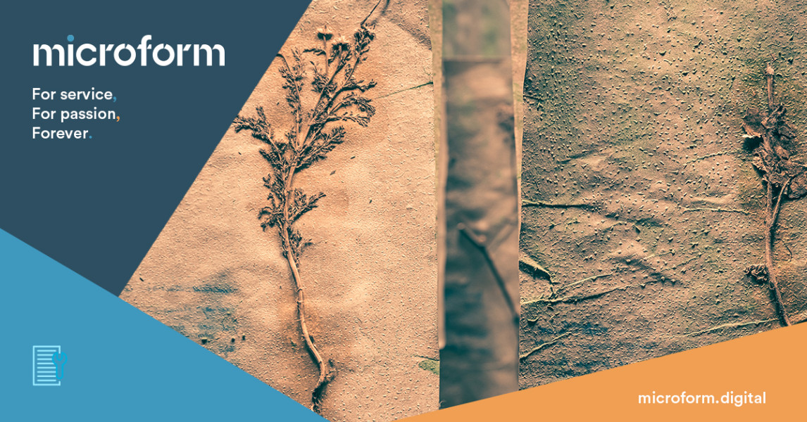 Conservation for Document Repair | Microform