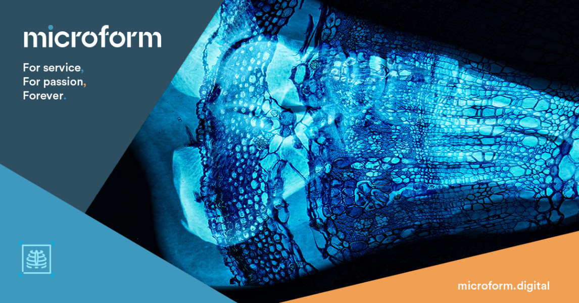 X-Rays & Medical Slide Digitisation | Microform